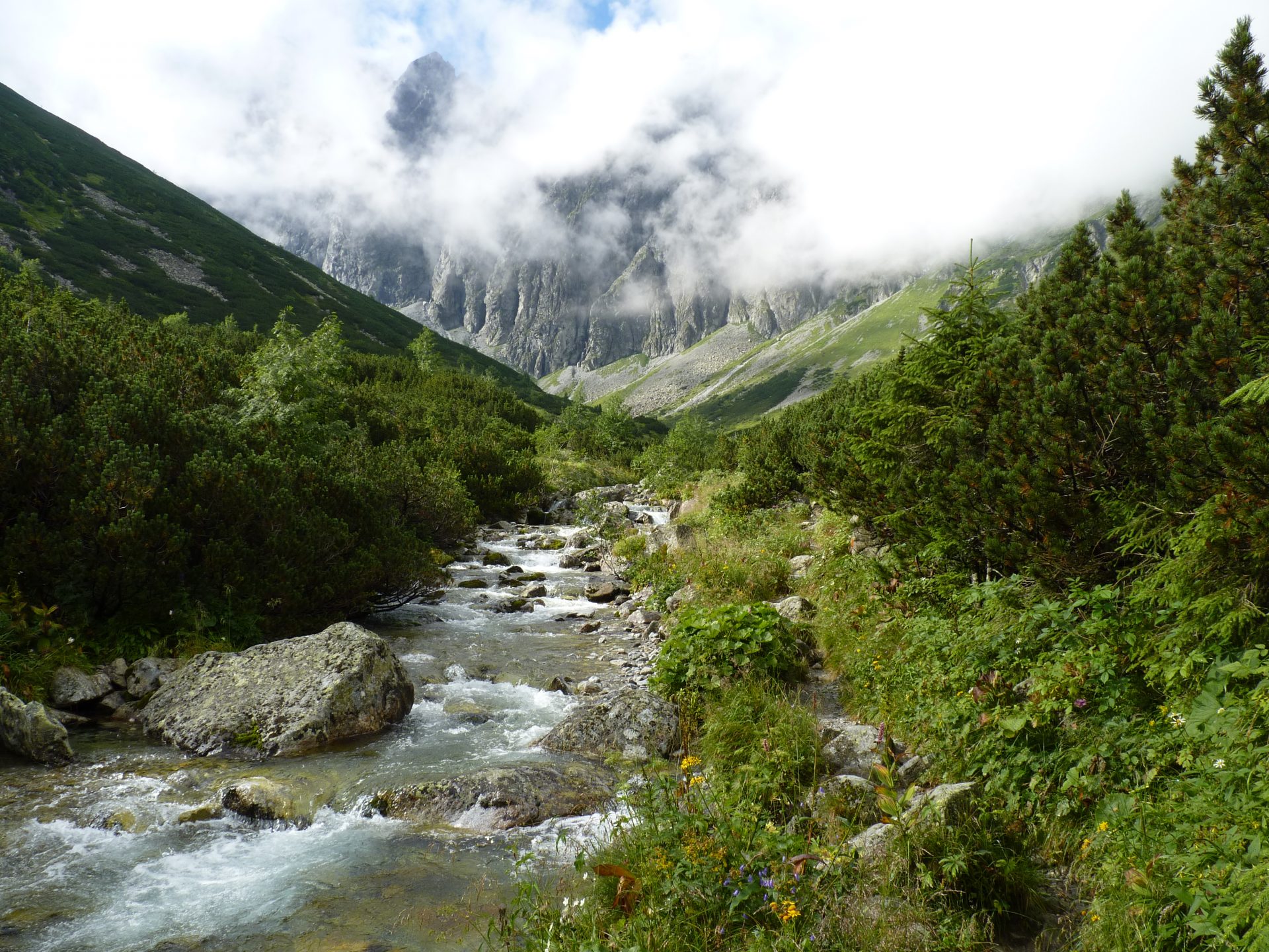 Javorová dolina - Visit Tatry